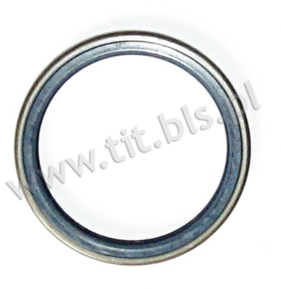 Zimmering zwrotnicy Iveco EuroTrakker - T & T s.c. - części do Iveco i ...