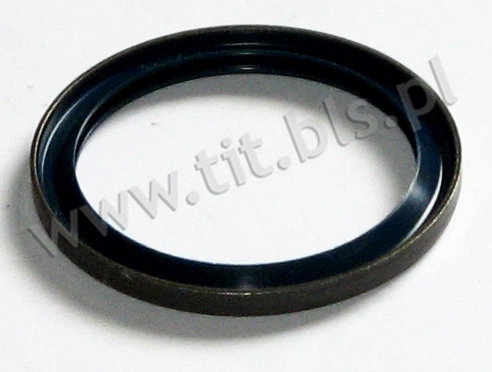 Zimmering zwrotnicy Iveco EuroTrakker - T & T s.c. - części do Iveco i ...